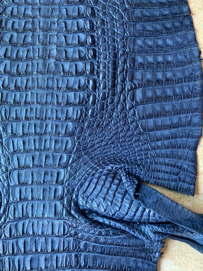 Urban Blue Real Crocodile Skin, Hobbies & Toys, Stationery & Craft ...
