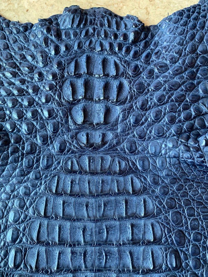 Urban Blue Real Crocodile Skin, Hobbies & Toys, Stationery & Craft ...
