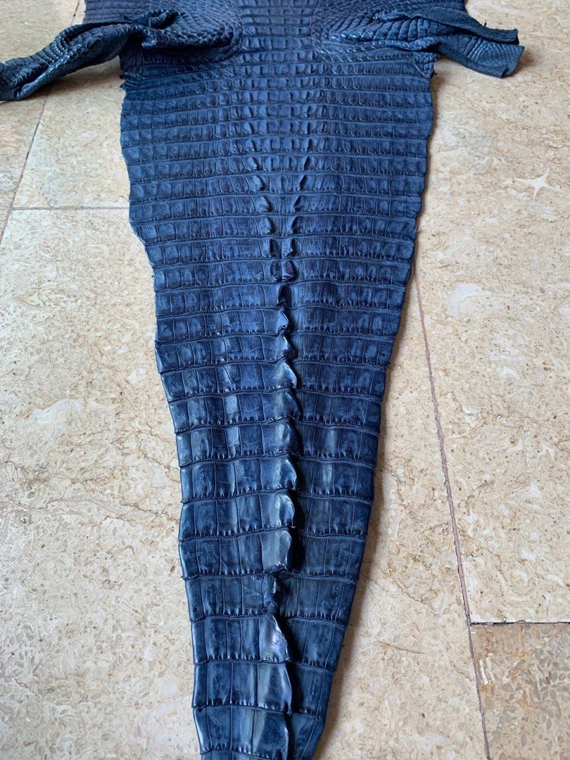 Urban Blue Real Crocodile Skin, Hobbies & Toys, Stationery & Craft ...