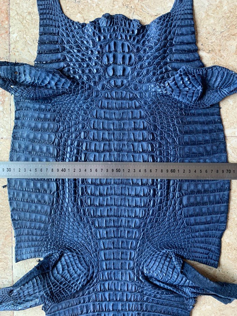 Urban Blue Real Crocodile Skin, Hobbies & Toys, Stationery & Craft ...