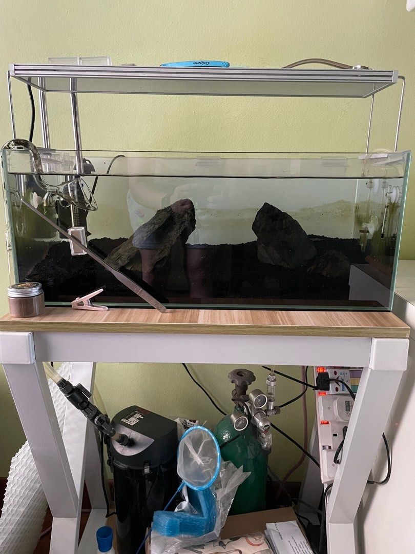 2ft low profile glass tank (add on for Chihiros 60cm WRGB light), Pet ...