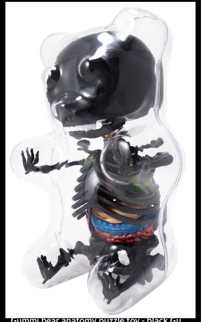 4D Master Gummi Bear Skeleton Anatomy Model Kit Special Edition Black ...