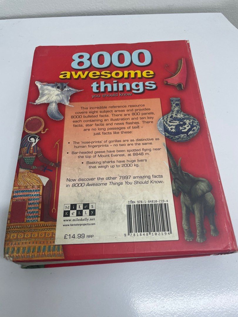 8000 Awesome Things Kids Book, Hobbies & Toys, Books & Magazines ...