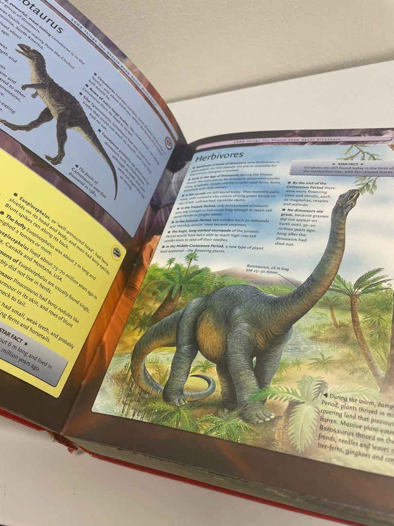 8000 Awesome Things Kids Book, Hobbies & Toys, Books & Magazines ...