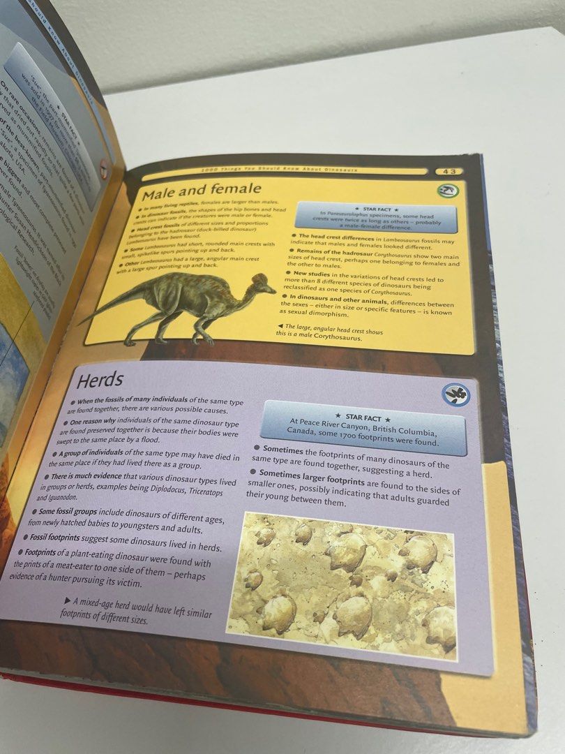 8000 Awesome Things Kids Book, Hobbies & Toys, Books & Magazines ...