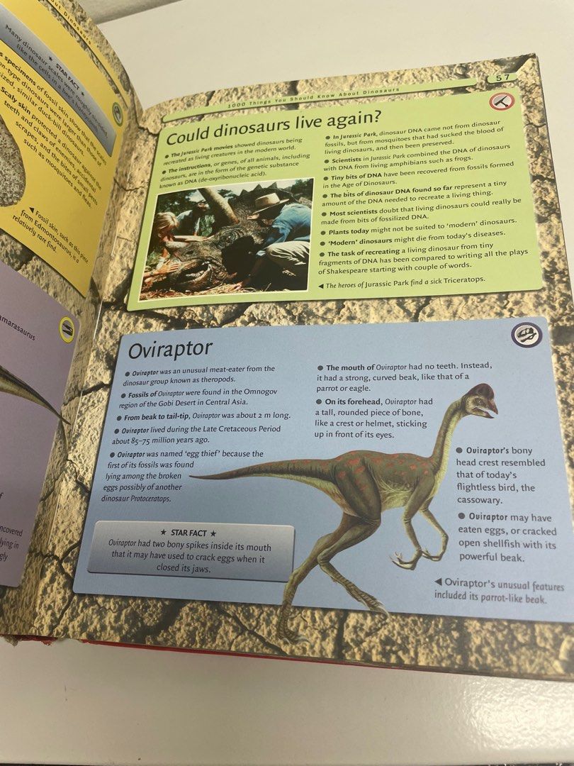 8000 Awesome Things Kids Book, Hobbies & Toys, Books & Magazines ...