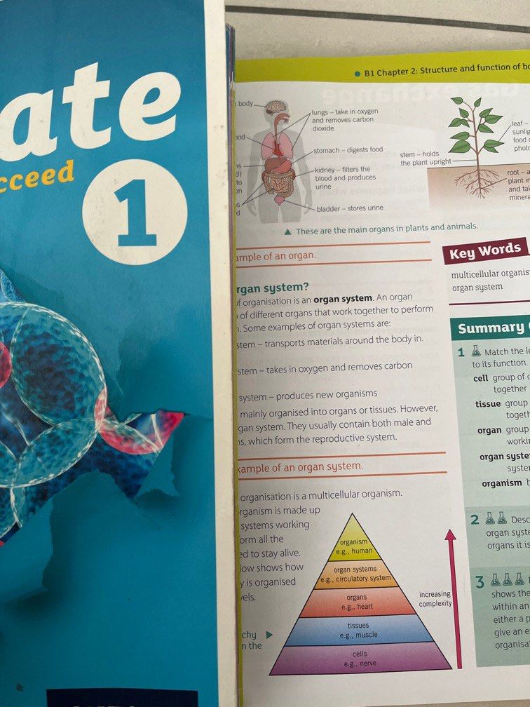 Activate 1, 2, Hobbies & Toys, Books & Magazines, Textbooks on Carousell