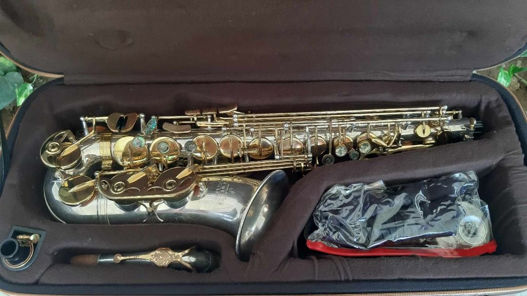 Alto Saxophone (Nimbus Fastrack), Hobbies & Toys, Music & Media ...