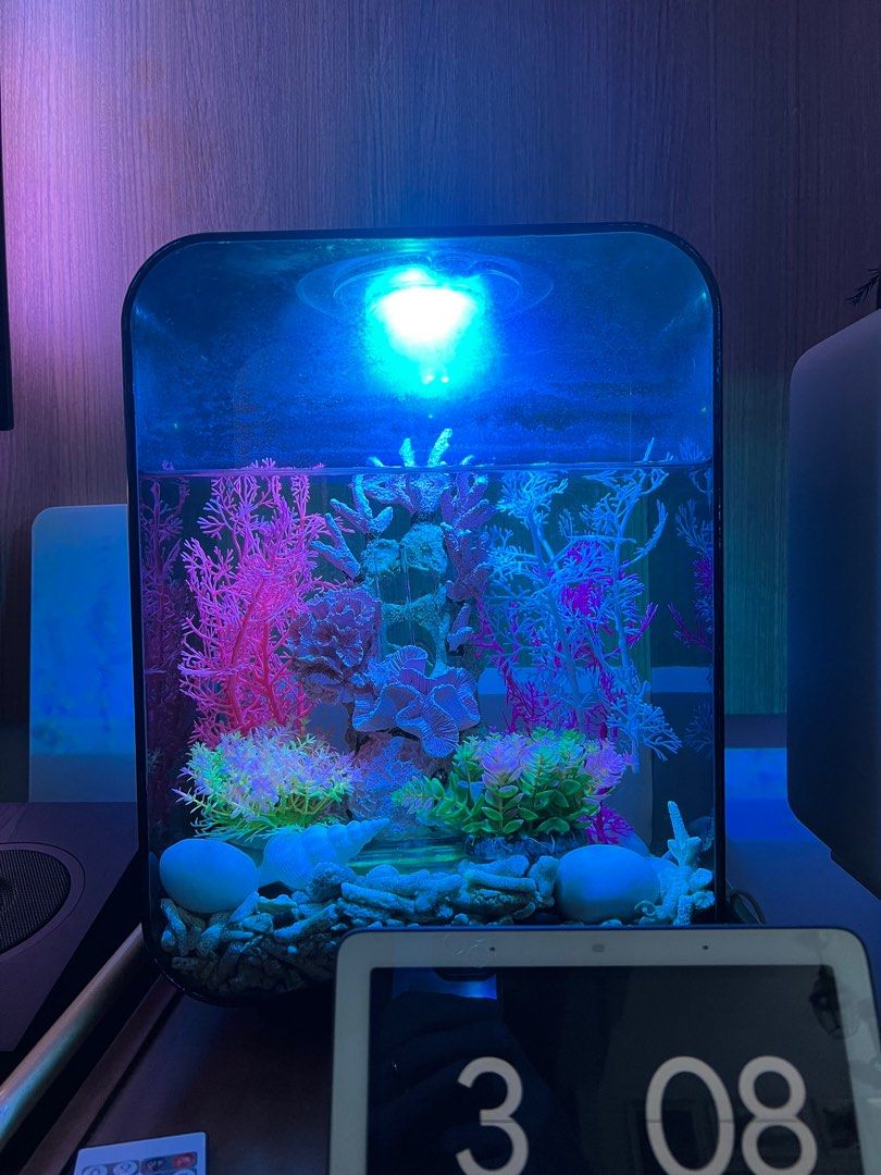 Classy fish tank with led light (multi-color), Furniture & Home Living ...