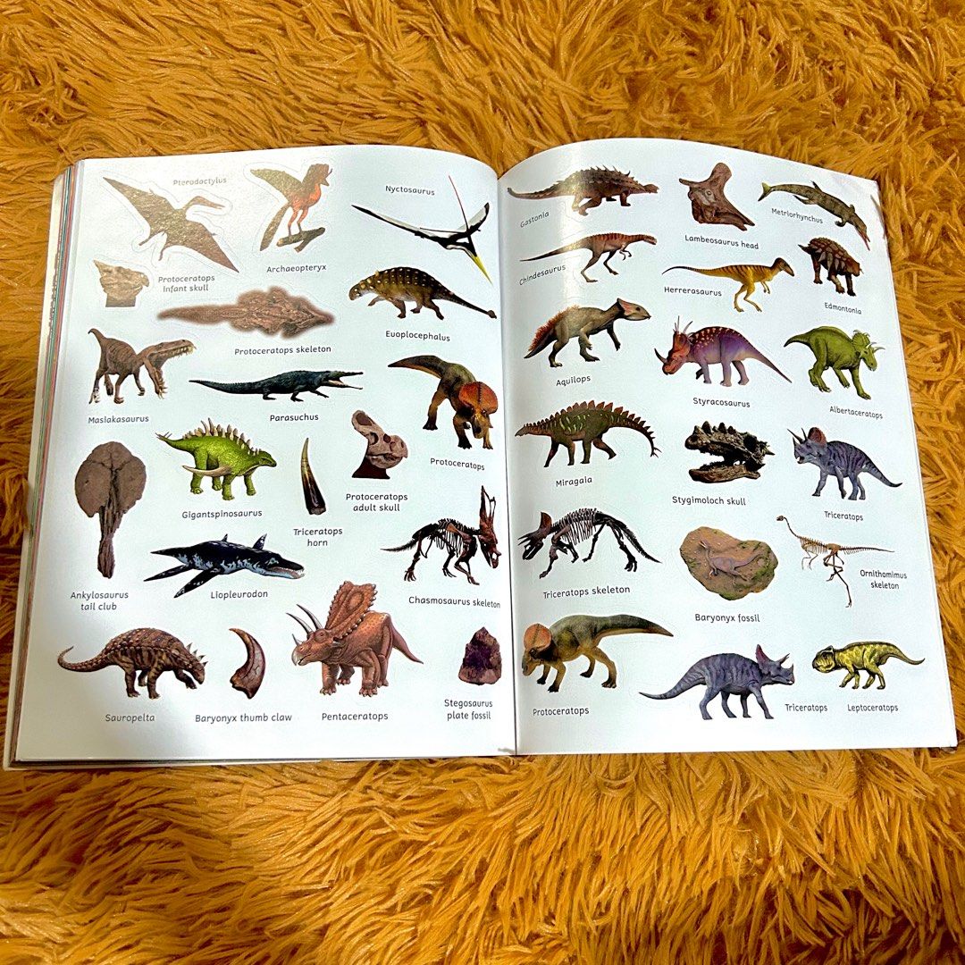 DK Sticker Encyclopedia about Dinosaurs Complete, Hobbies & Toys, Books ...