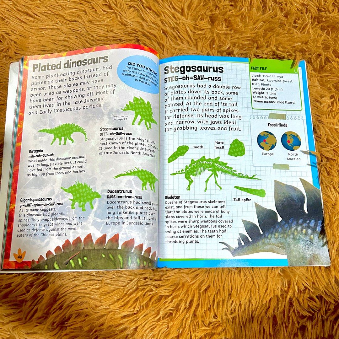 DK Sticker Encyclopedia about Dinosaurs Complete, Hobbies & Toys, Books ...