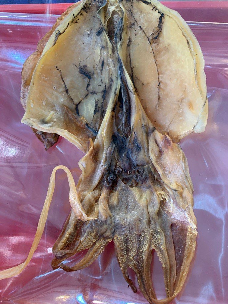 Dried cuttle fish - grade A + ( Rare) Philippines, Food & Drinks, Local ...