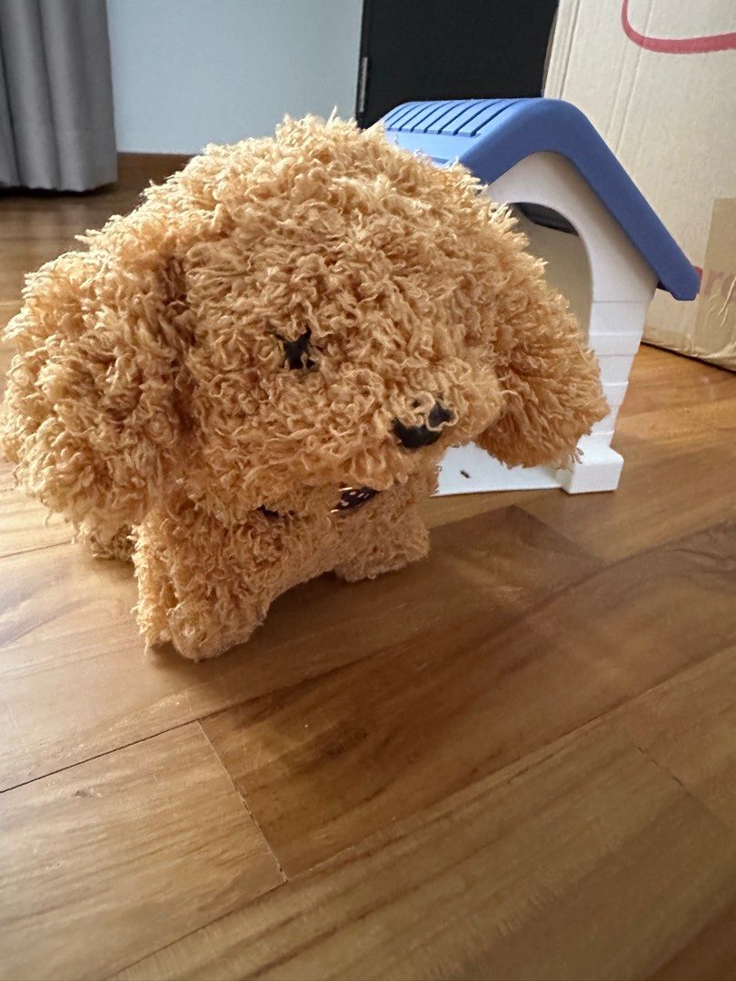 Electric dog with house, Hobbies & Toys, Toys & Games on Carousell