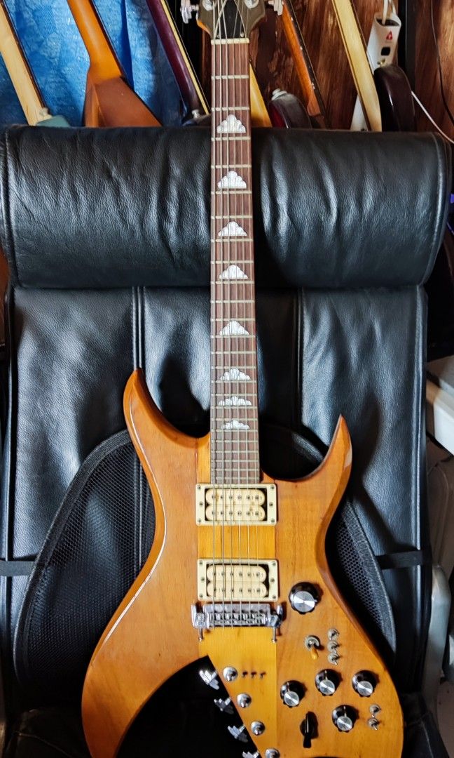 FS/FT: Fernandes / BC Rich Bich 10 String Electric Guitar with Fitted ...