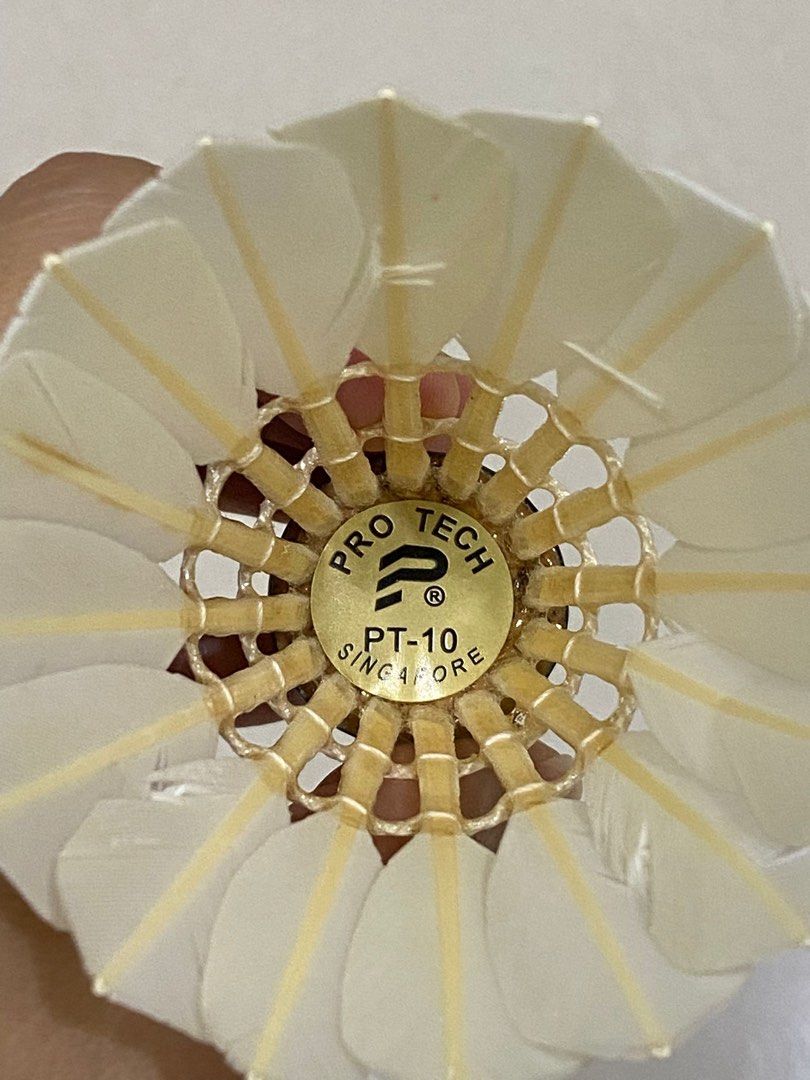 RSL(classic and NO5) and Protech shuttlecocks, Sports Equipment, Other ...