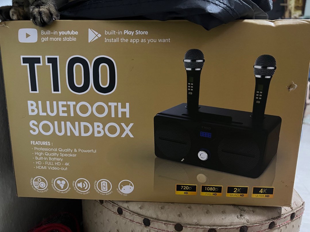 T100 bluetooth soundbox, Audio, Microphones on Carousell