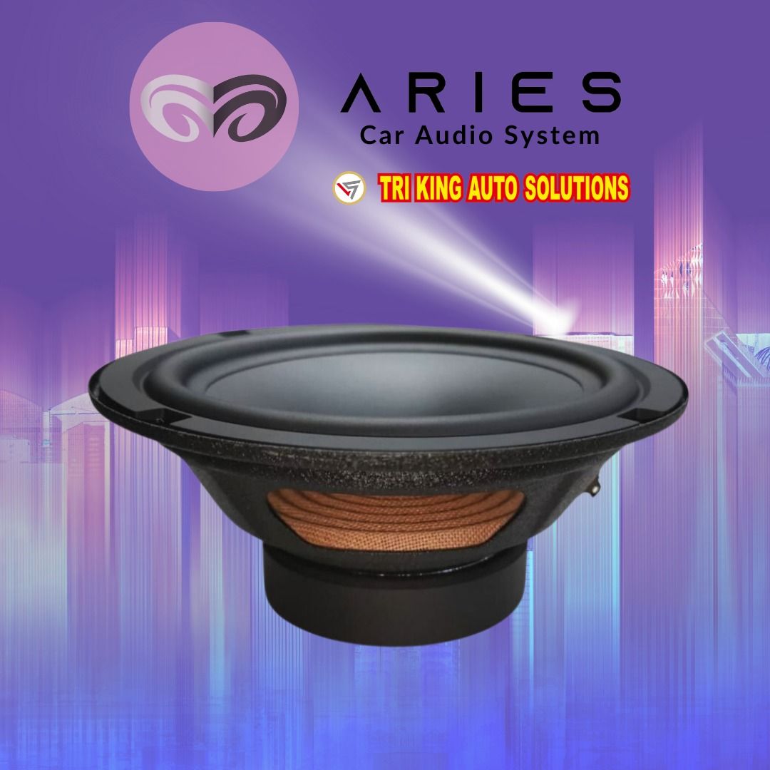 Aries SK6.1 MK III 2 Way Component Speaker Set | Designing & Engineering by Rishi Gurbani, Car ...