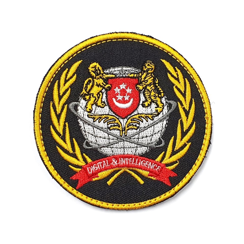 DIGITAL & INTELLIGENCE SERVICE COLORED PATCH D&G1540-DIS-C, Hobbies ...