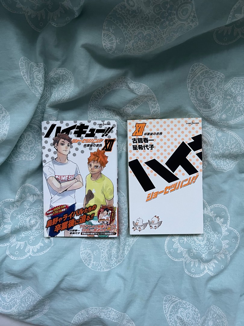 Haikyuu shosetsuban 12 the post graduation scenery light novel, Hobbies ...