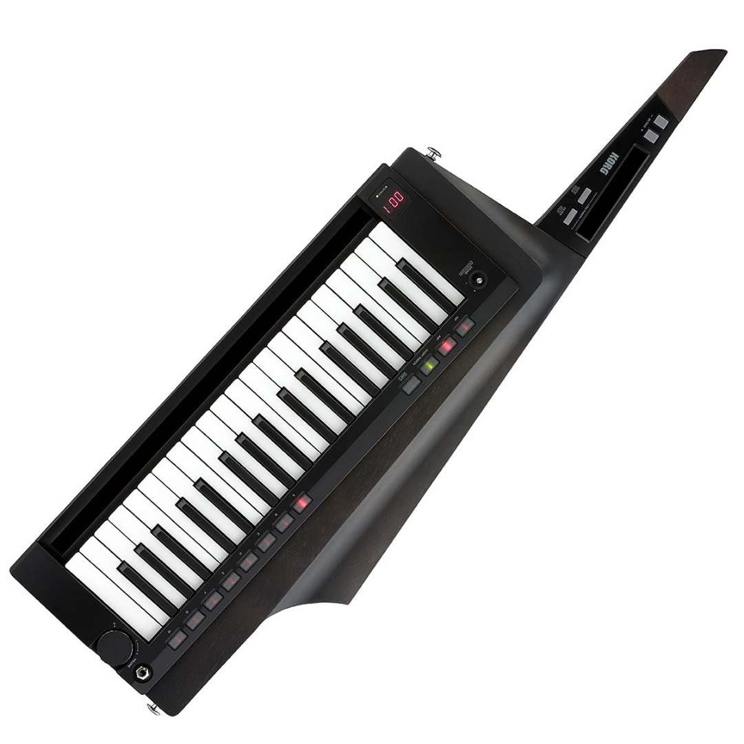 KORG RK-100S 2 KEYTAR, Hobbies & Toys, Music & Media, Musical ...