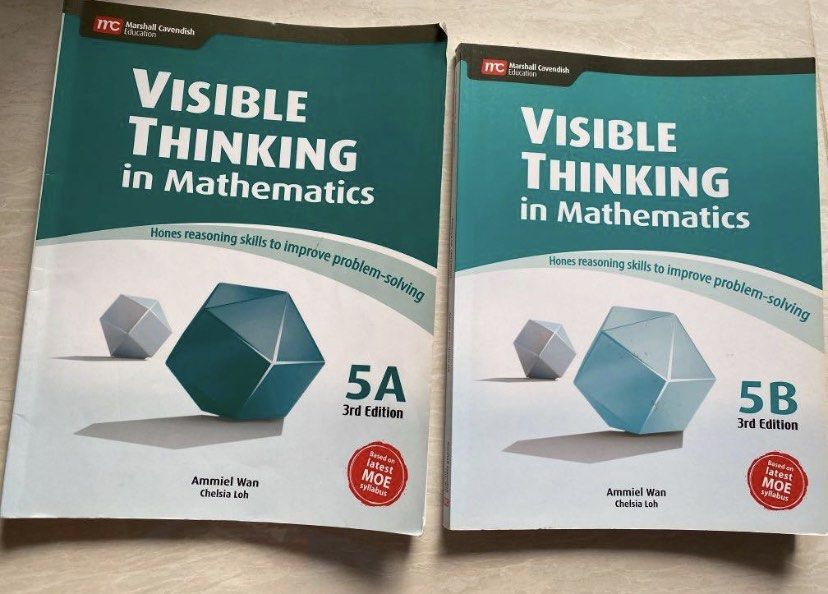 Primary 5 A/B Visible thinking in Mathematics (Ammiel Wan), Hobbies ...