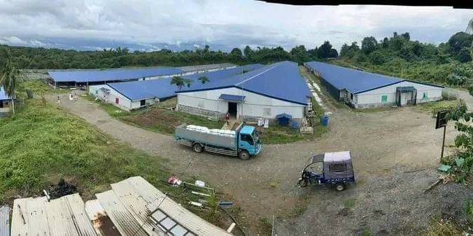 12 hectares poultry, Property, For Sale, House & Lot on Carousell