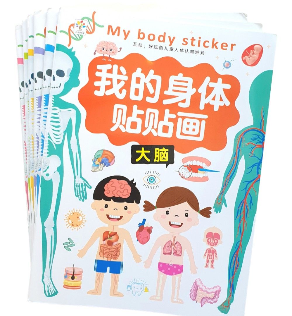 Big book of human body, sticker activity books set, Hobbies & Toys ...
