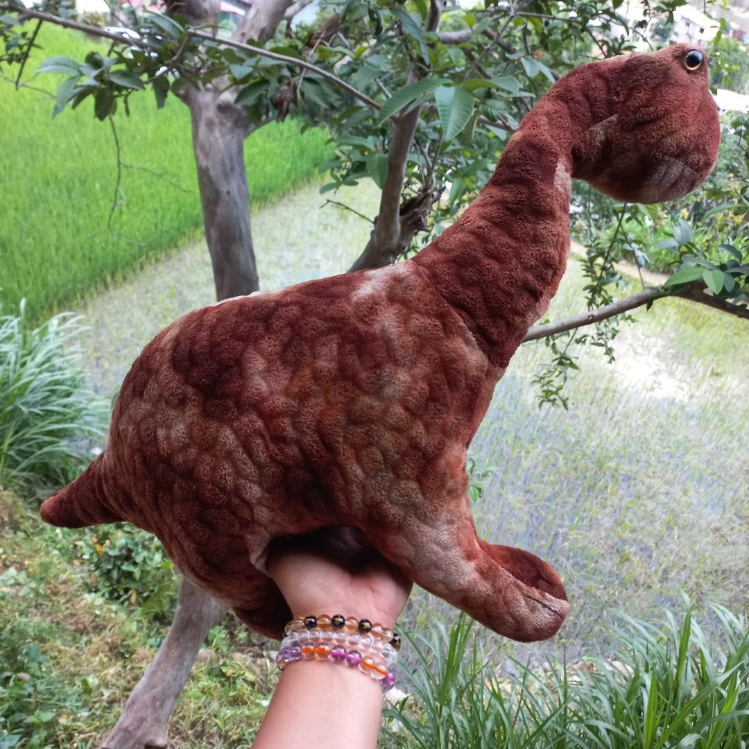 Brontosaurus Dino Plush Toy, Hobbies & Toys, Toys & Games on Carousell