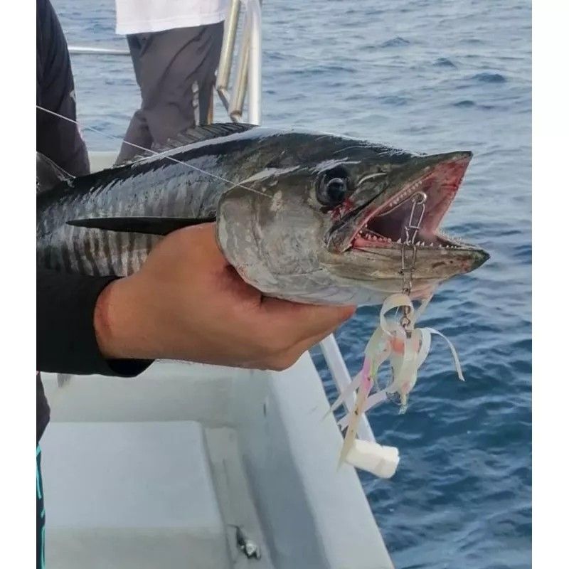 Chicken Feather Jig aka Tenggiri Killer not Shimano, Daiwa, stella ...
