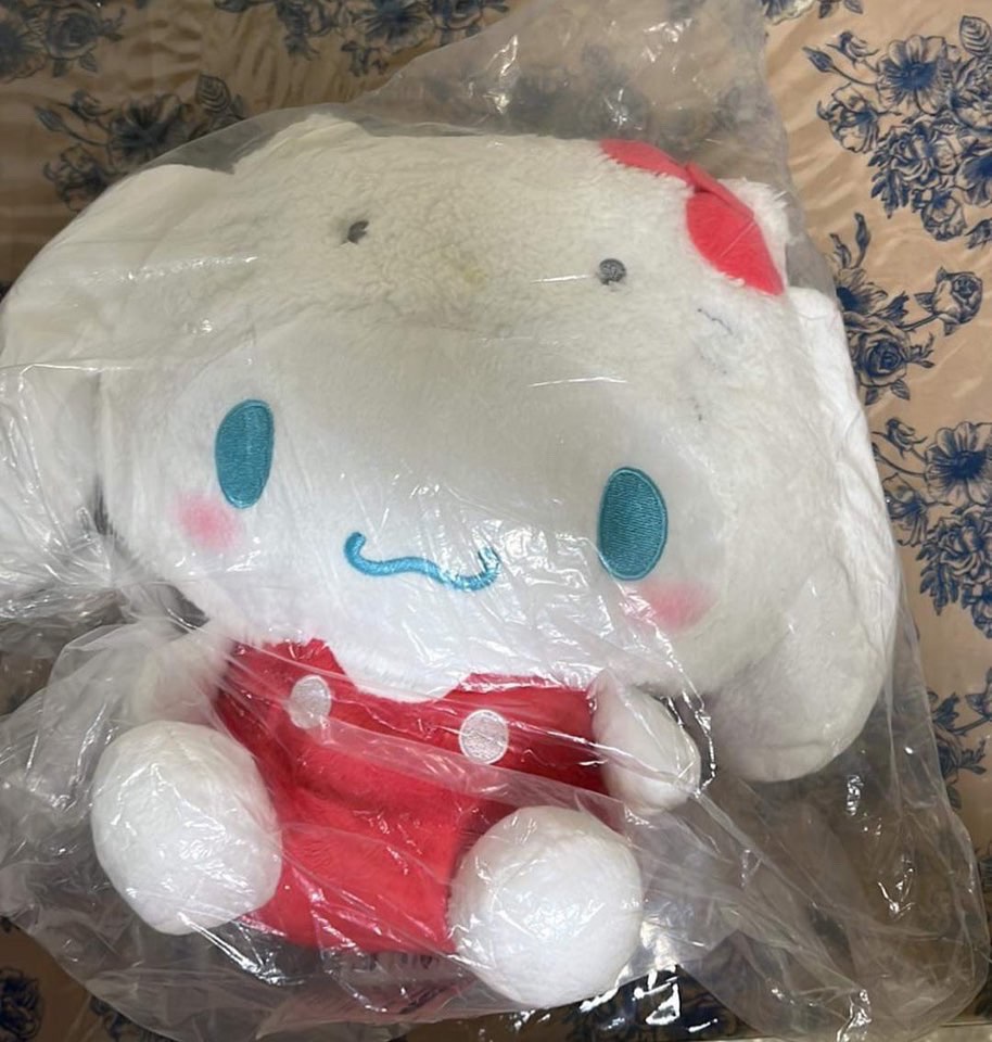 CINNAMOROLL 20TH ANNIVERSARY HELLO KITTY COSTUME on Carousell