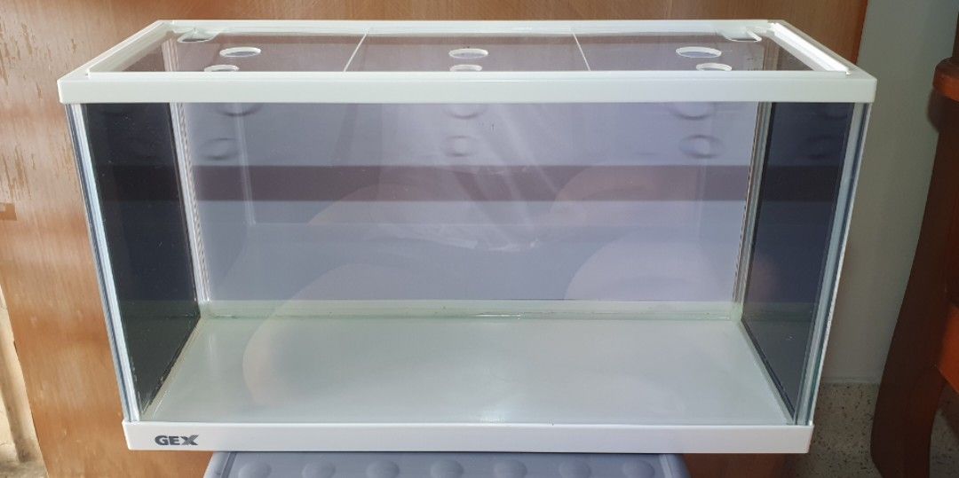 Desk boy 450 Gex Tank, Pet Supplies, Homes & Other Pet Accessories on Carousell