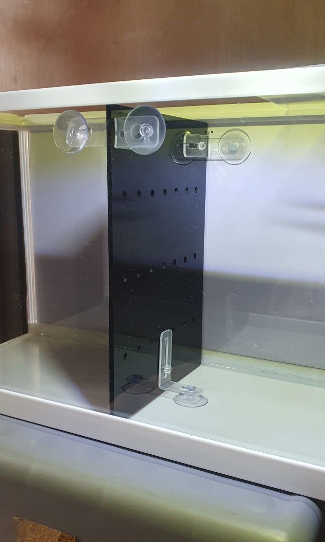 Desk boy 450 Gex Tank, Pet Supplies, Homes & Other Pet Accessories on Carousell