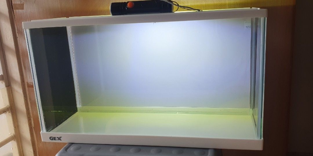 Desk boy 450 Gex Tank, Pet Supplies, Homes & Other Pet Accessories on Carousell