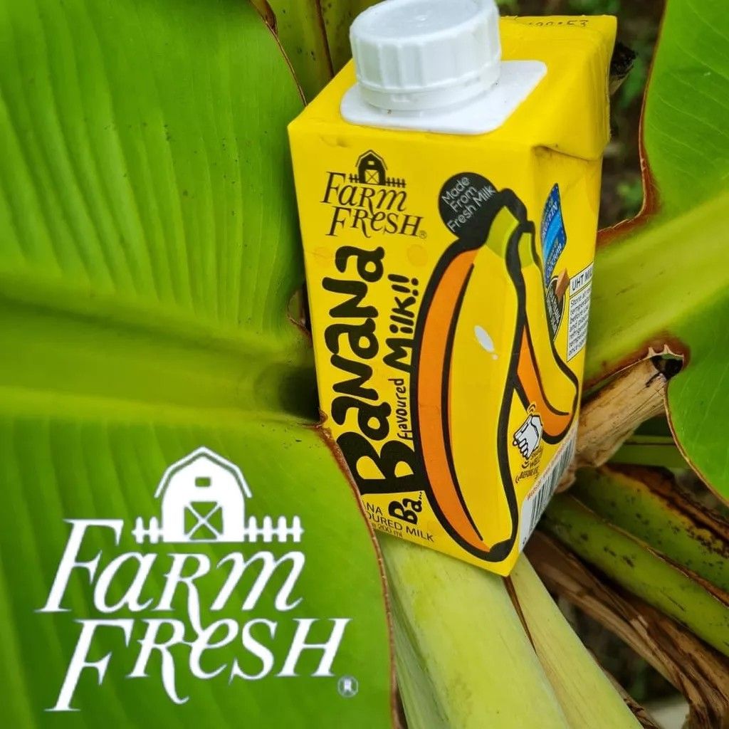 Farm Fresh Banana Flavoured Milk UHT Milk banana milk carton Pisang ...