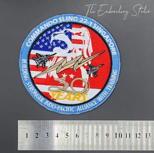 Navy Frogman School Patch Commando RSAF Air Force SWG Badges, Hobbies ...