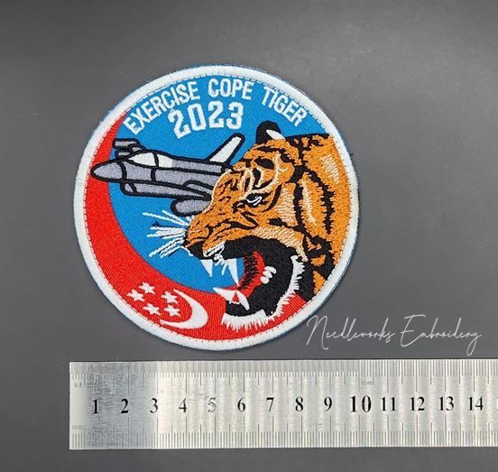 Navy Frogman School Patch Commando RSAF Air Force SWG Badges, Hobbies ...