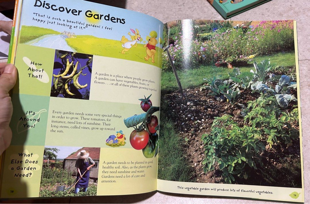 Winnie the Pooh learning encyclopedia, Hobbies & Toys, Books ...