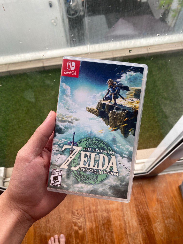 Zelda Tears Of The Kingdom (TOTK), Video Gaming, Video Games, Nintendo ...