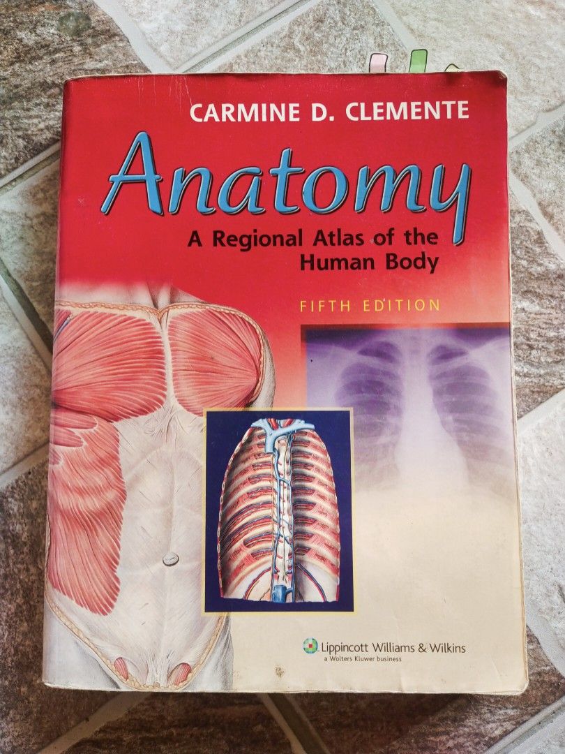 Anatomy by Clemente on Carousell