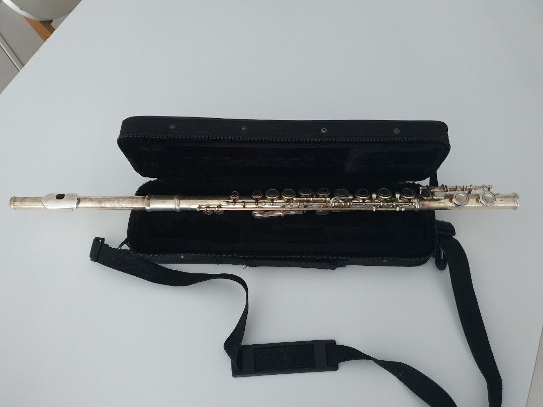 Conductor Side Flute, Hobbies & Toys, Music & Media, Musical ...