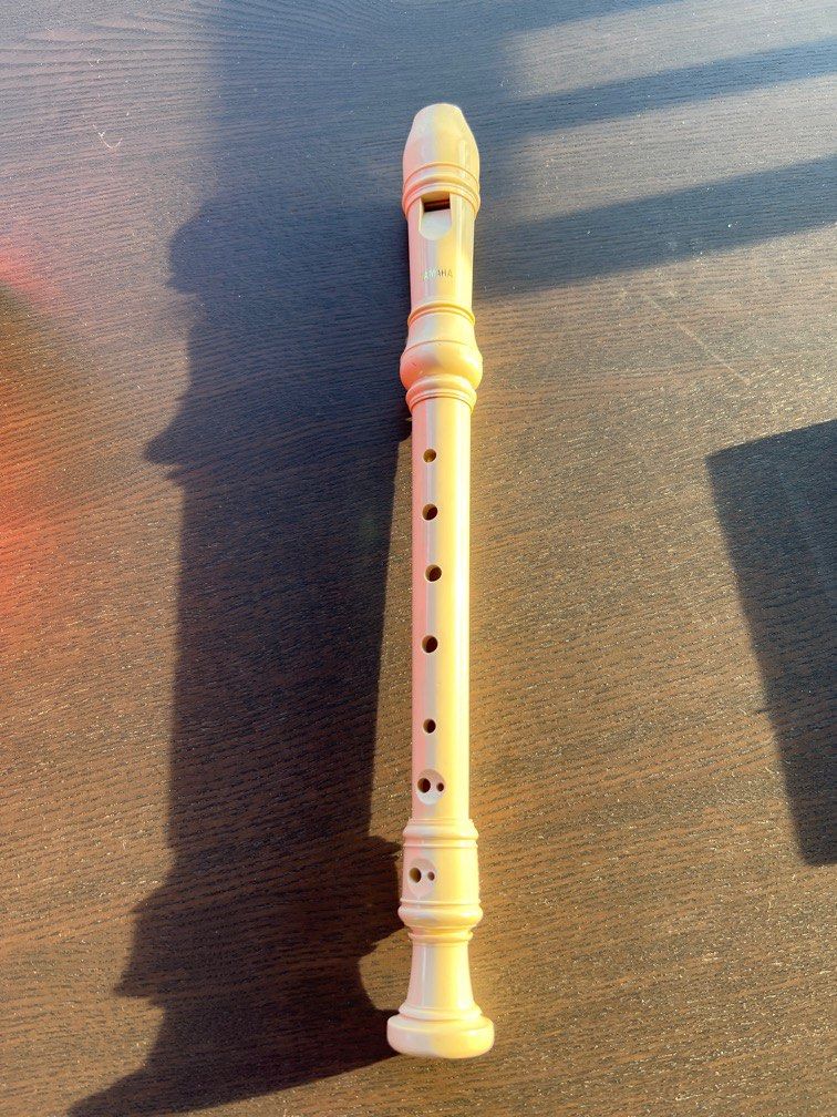 Recorder, Hobbies & Toys, Music & Media, Musical Instruments on Carousell