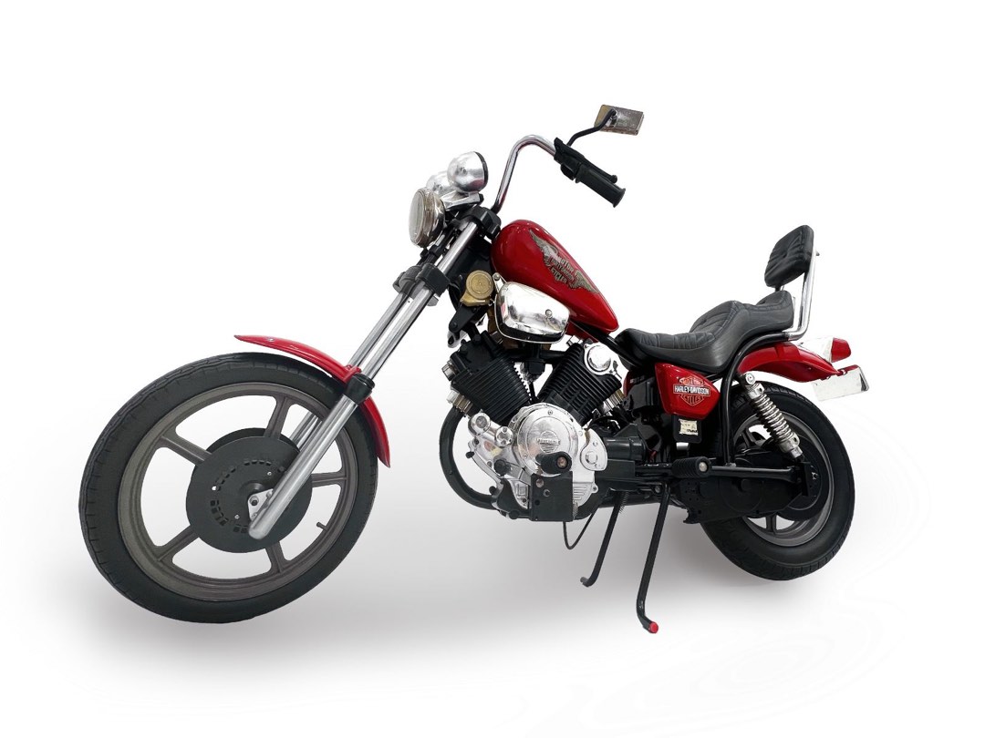 Rev Up Your Little Rider's Journey with this Pre-Loved Collectible ...