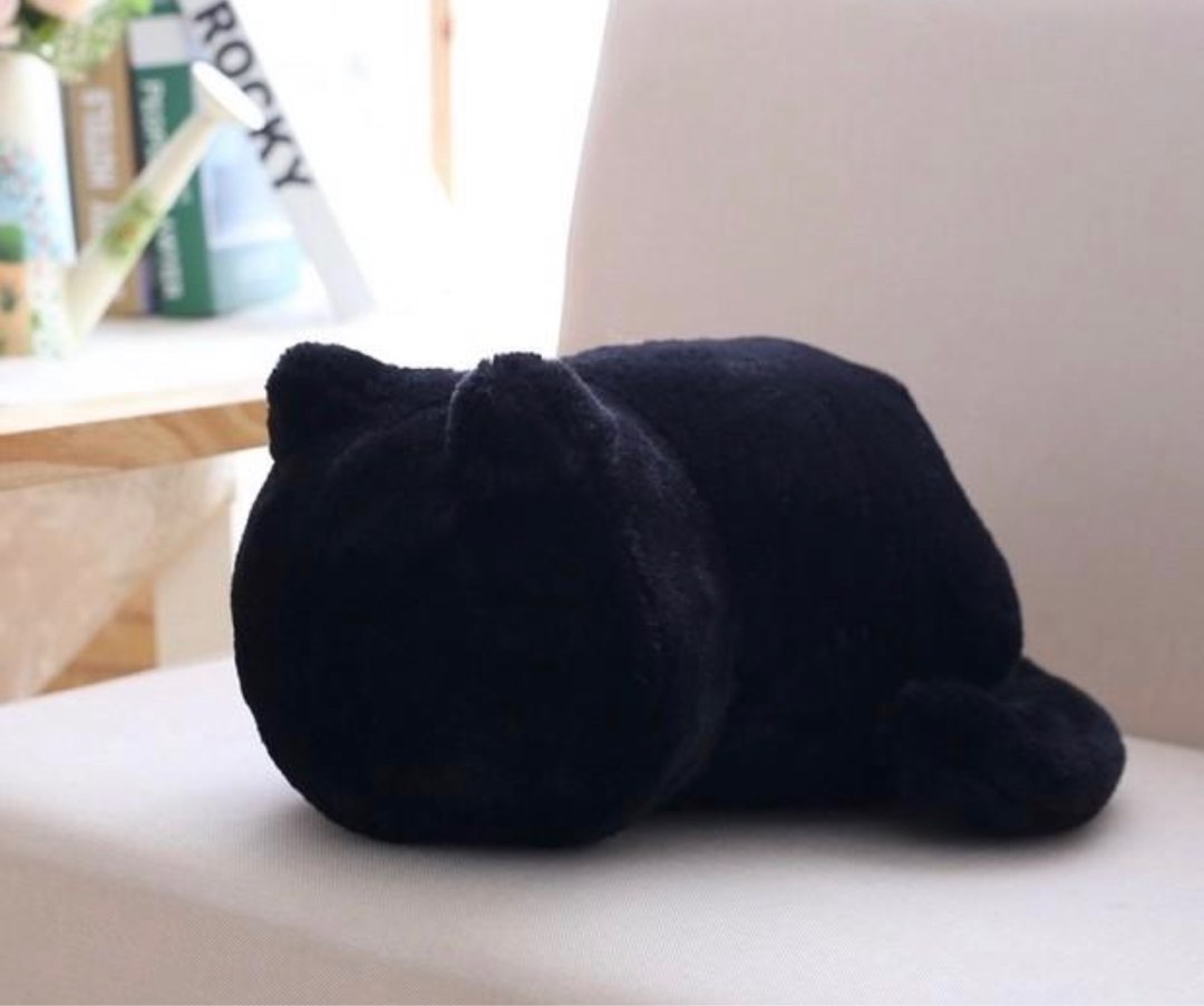 Black cat soft toy, Hobbies & Toys, Toys & Games on Carousell