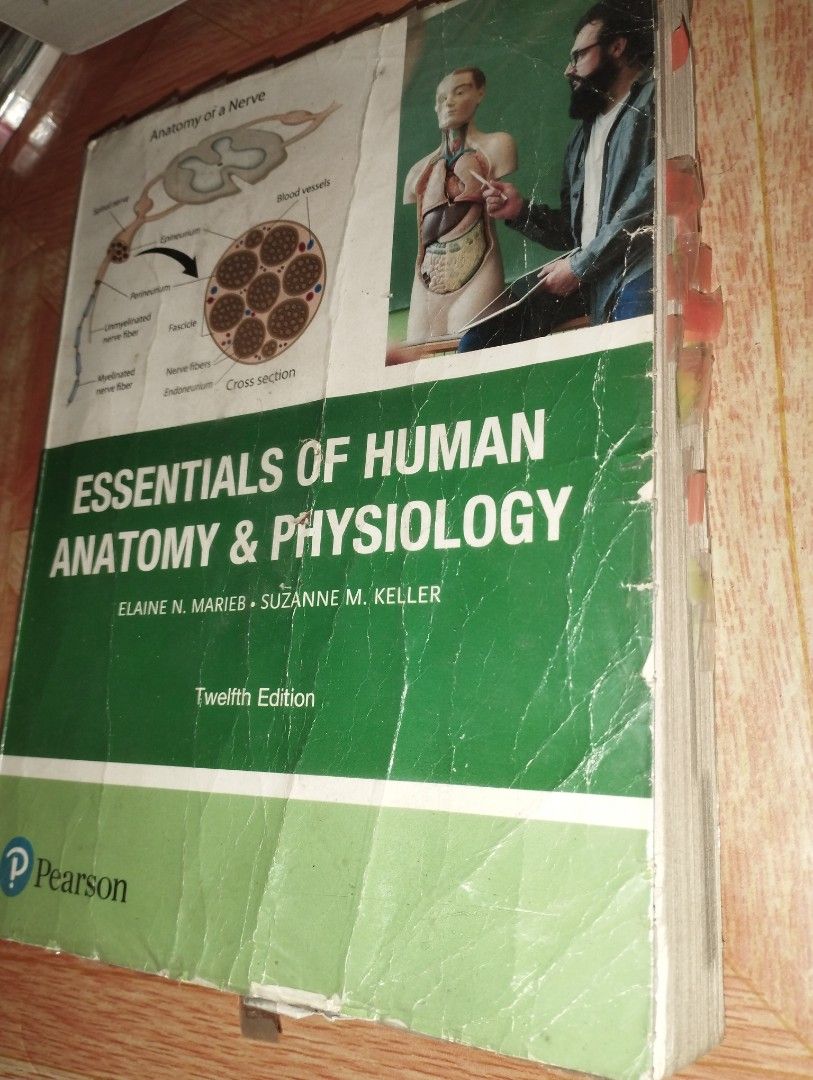 Essentials of Human Anatomy & Physiology by Elaine Marieb and Suzanne ...