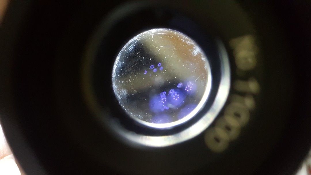 Fujimoto E-Lucky Anastigmat Lens 1:4.5 F= 75mm Fujimoto Enlarger lens ...