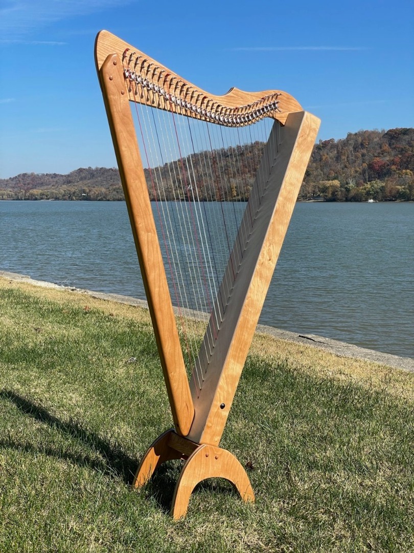 Grand Harpsicle Harp (USA), Hobbies & Toys, Music & Media, Musical ...
