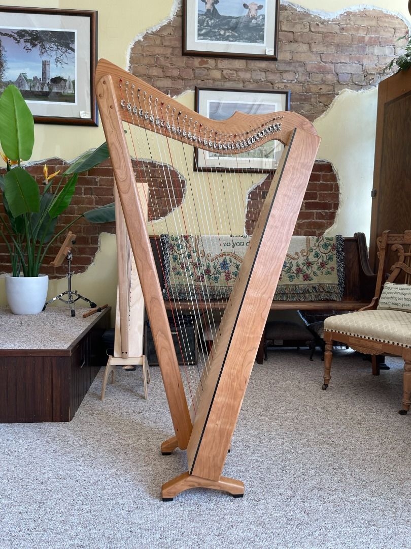 Grand Harpsicle Harp (USA), Hobbies & Toys, Music & Media, Musical ...