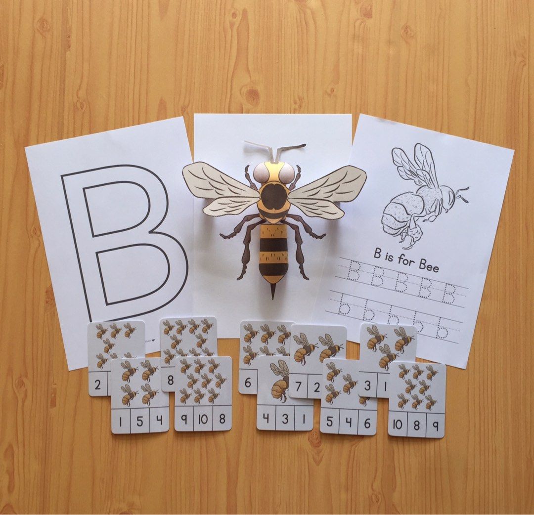 Montessori Bee Unit Study, Hobbies & Toys, Books & Magazines, Children ...