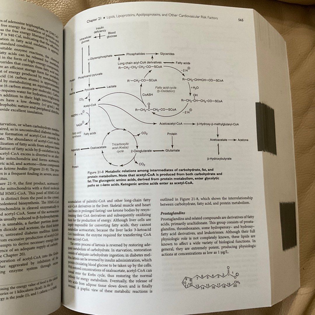 TIETZ Textbook of Clinical Chemistry 5th Edition MEDTECH BOOK, Hobbies ...