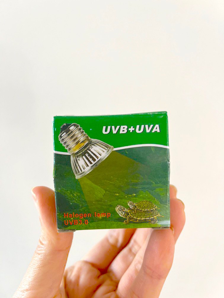 UVA/UVB Light Bulb, Furniture & Home Living, Lighting & Fans, Lighting ...